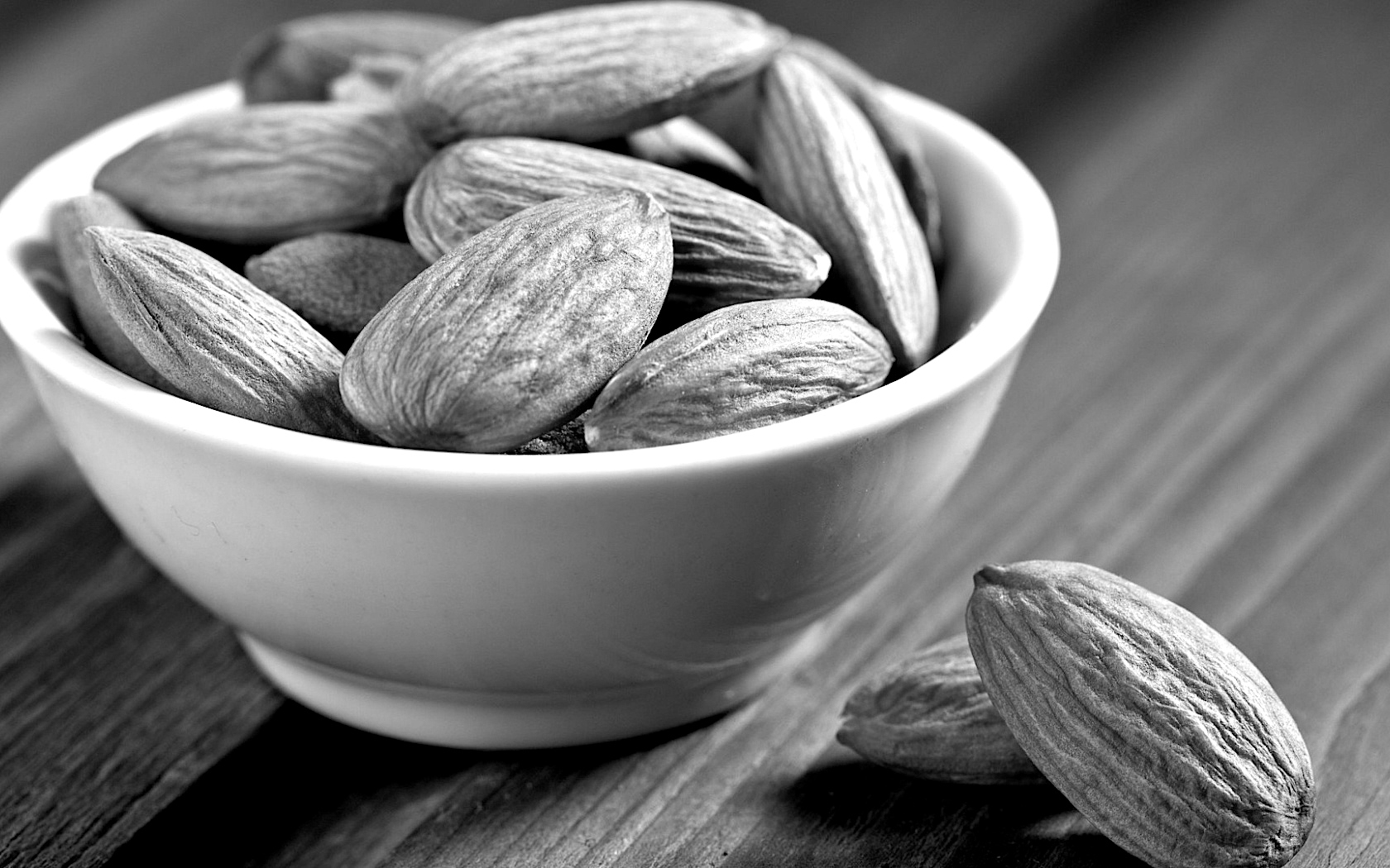 GLOBAL PREMIUM FOODS