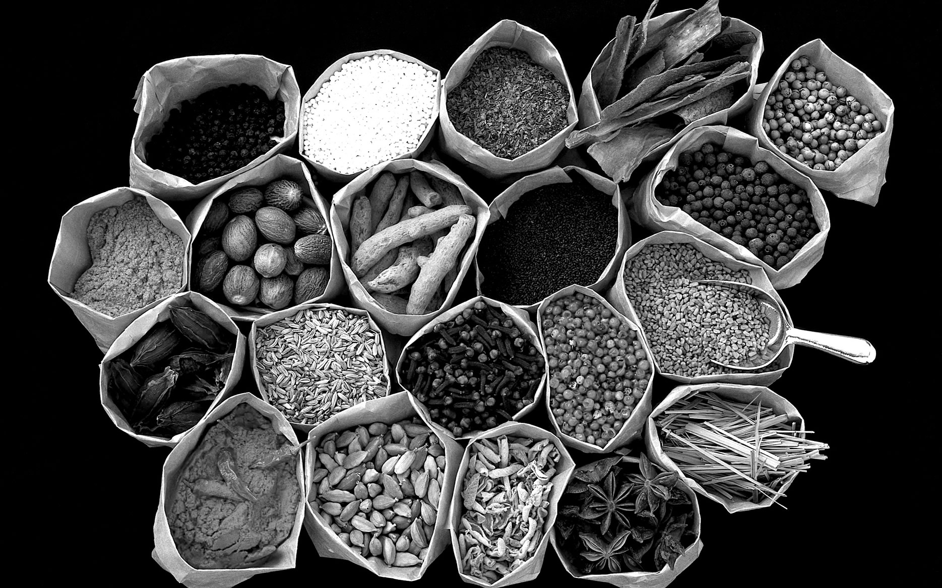 GLOBAL PREMIUM FOODS